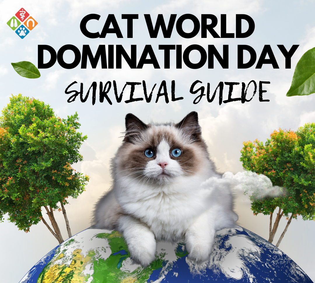 Happy Cat World Domination Day: Are You Living with a Future Feline ...